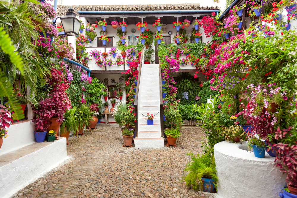 Festival de los Patios de Córdoba, cultura y naturaleza